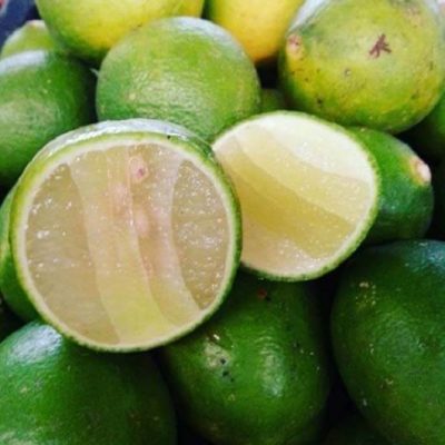 Jual Bibit Jeruk Nipis Lokal (Jeruk pecel) Unggul & Termurah| Kartani.co.id