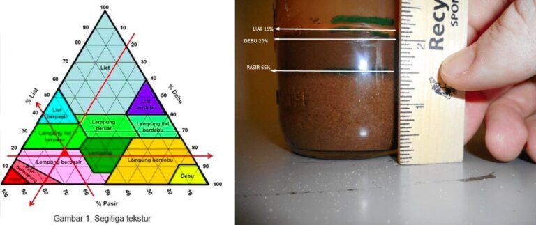 Cara Menentukan Tekstur Tanah Pada Lahan Pertanian - Kartani.co.id